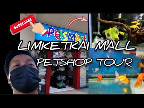 PET SHOP TOUR LIMKETKAI MALL CAGAYAN DE ORO CITY #limketkaipetshop# ...