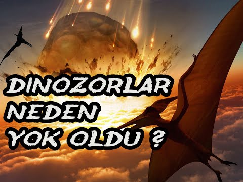 Dinozorlar Neden Yok oldu ? (Meteor Yüzünden mi ?)