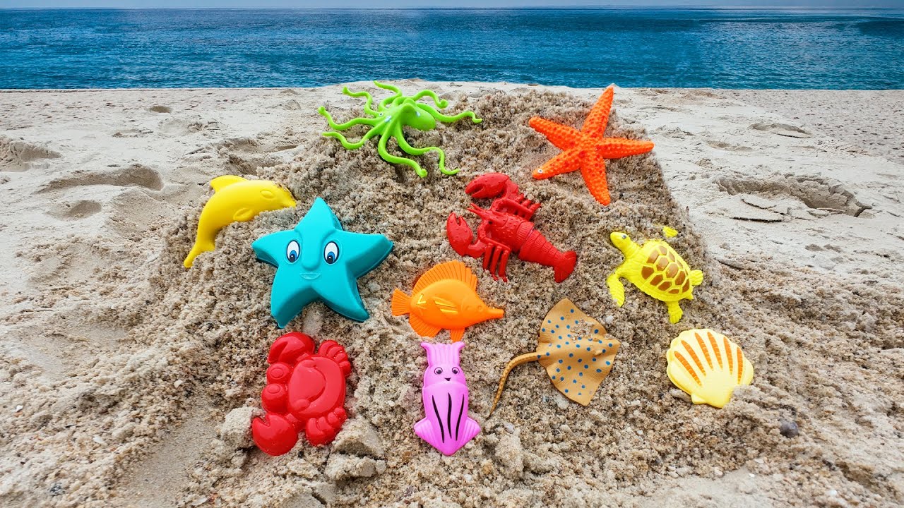 해변에서 동물 장난감을 찾아보세요 - Find animal toys on the beach - YouTube