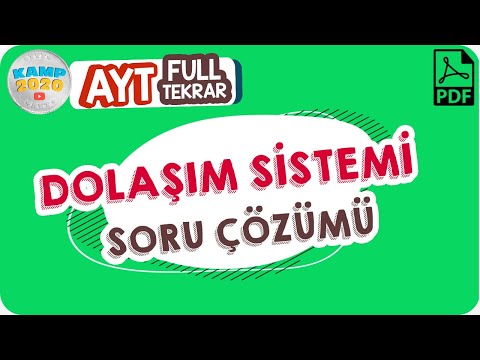 Dolaşım Sistemi Soru Çözümü | AYT Full Tekrar Kampı 2020