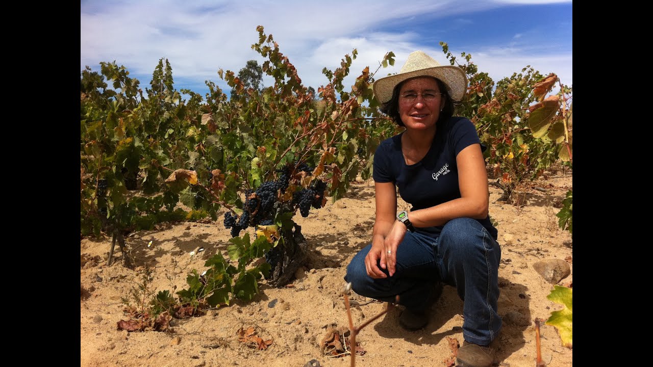 Sommos Uno - Sesión 02- Pilar Miranda- Vigno: Una mirada profunda al ...