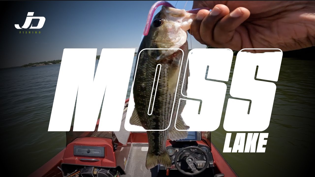 Bass Fishing Struggles: No Giants, Just Good Times at Moss Lake - YouTube