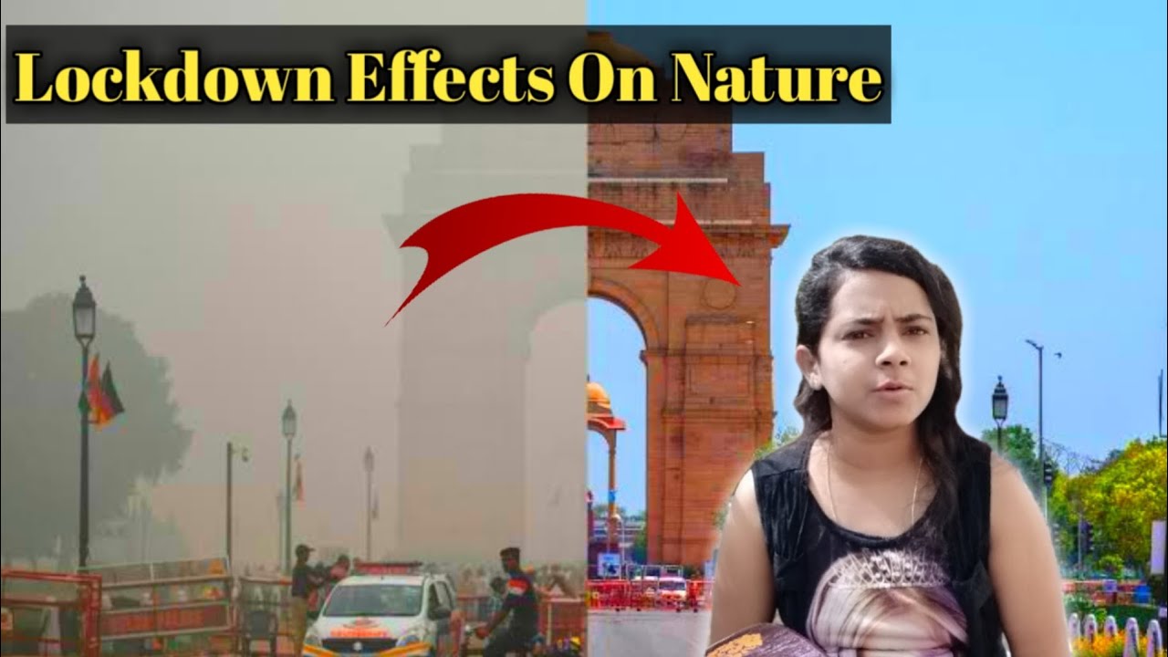 Lockdown Effects On Nature | Lockdown Effects On Animals | Lockdown ...
