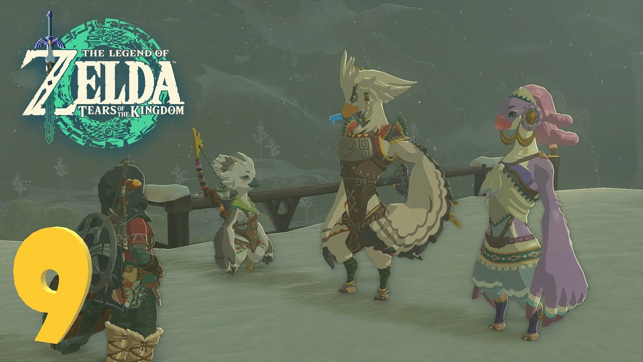 Feathered Friends...on ice? - The Legend of Zelda: Tears of the Kingdom ...