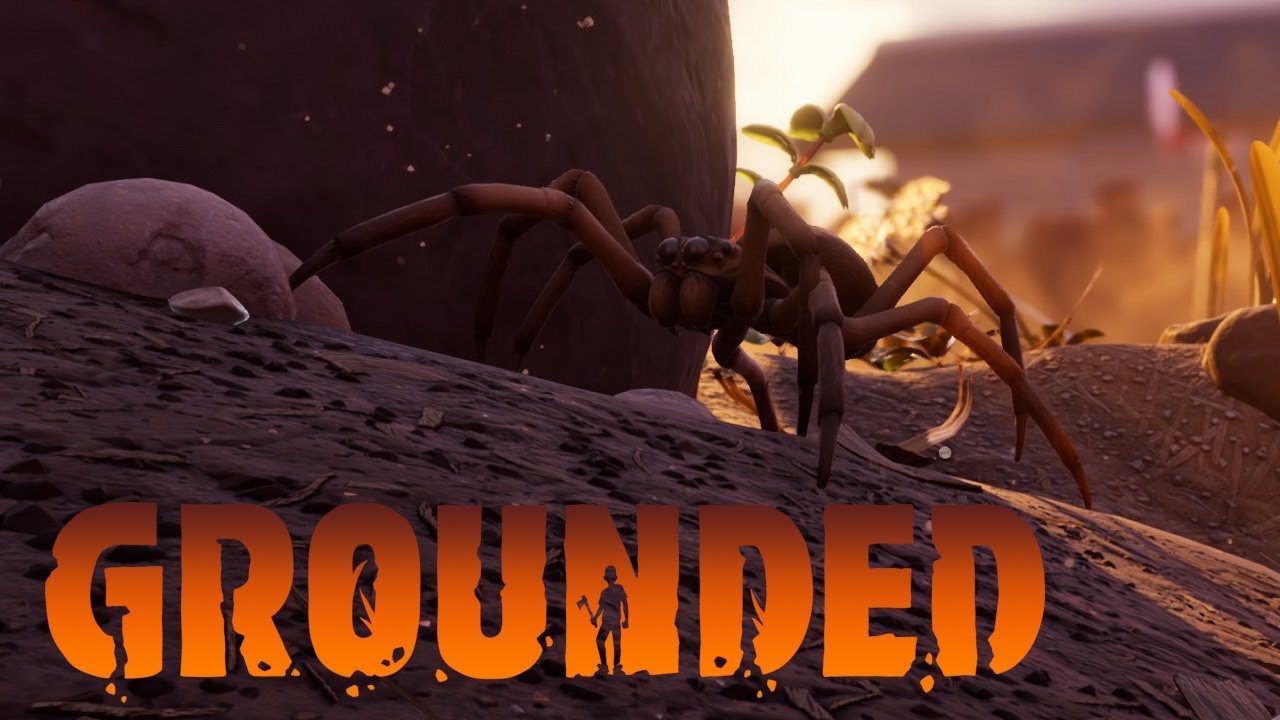 Orb Weaver Spider 1st Encounter - Grounded - YouTube