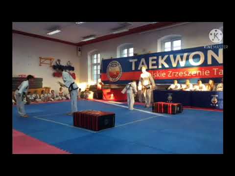 Taekwondo Tiger Dzierżoniów