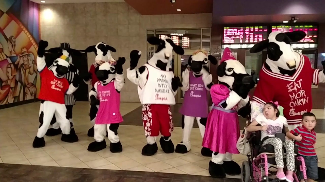Chick-Fil-A Dancing Cows, San Antonio 20160706 - YouTube