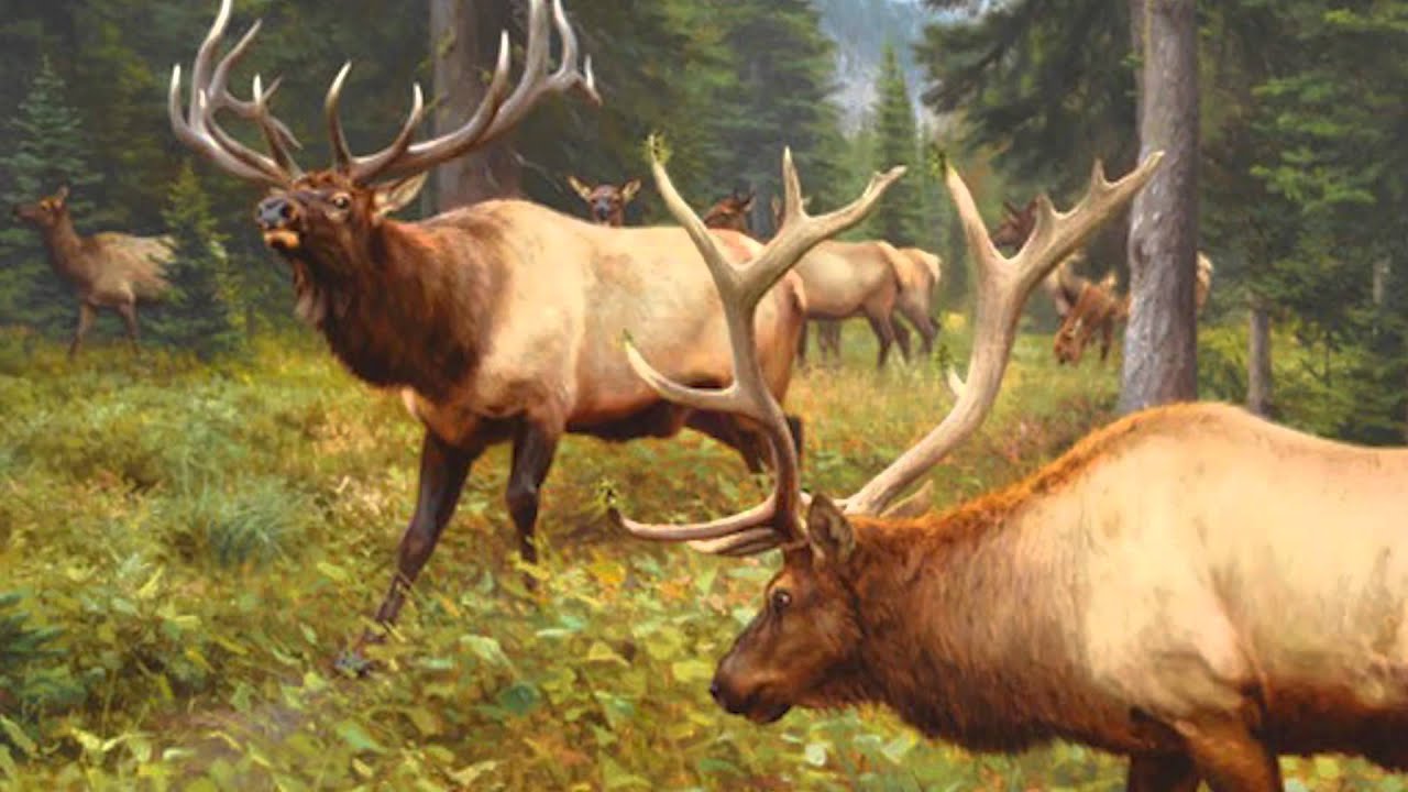 Kyle Sims, Featured Artist - SEWE 2016 - YouTube