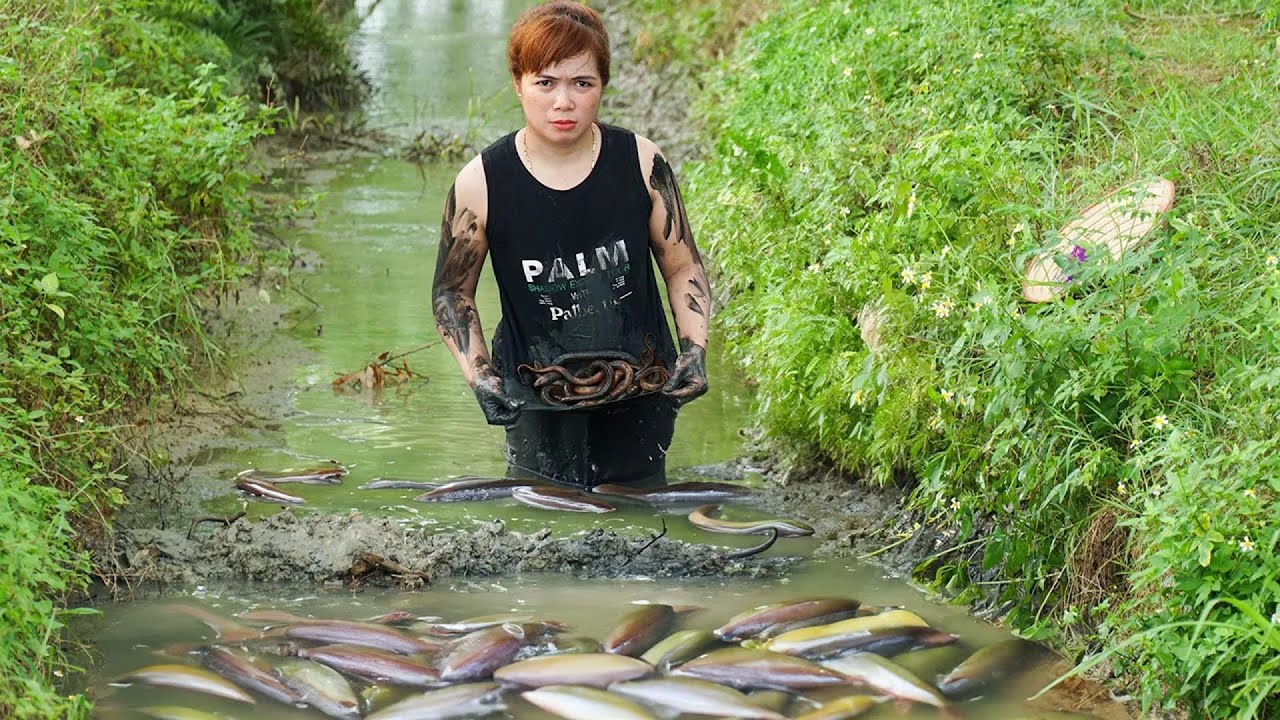 Lica Daily Life: Catching Tons of Fish and Selling at the Market ...