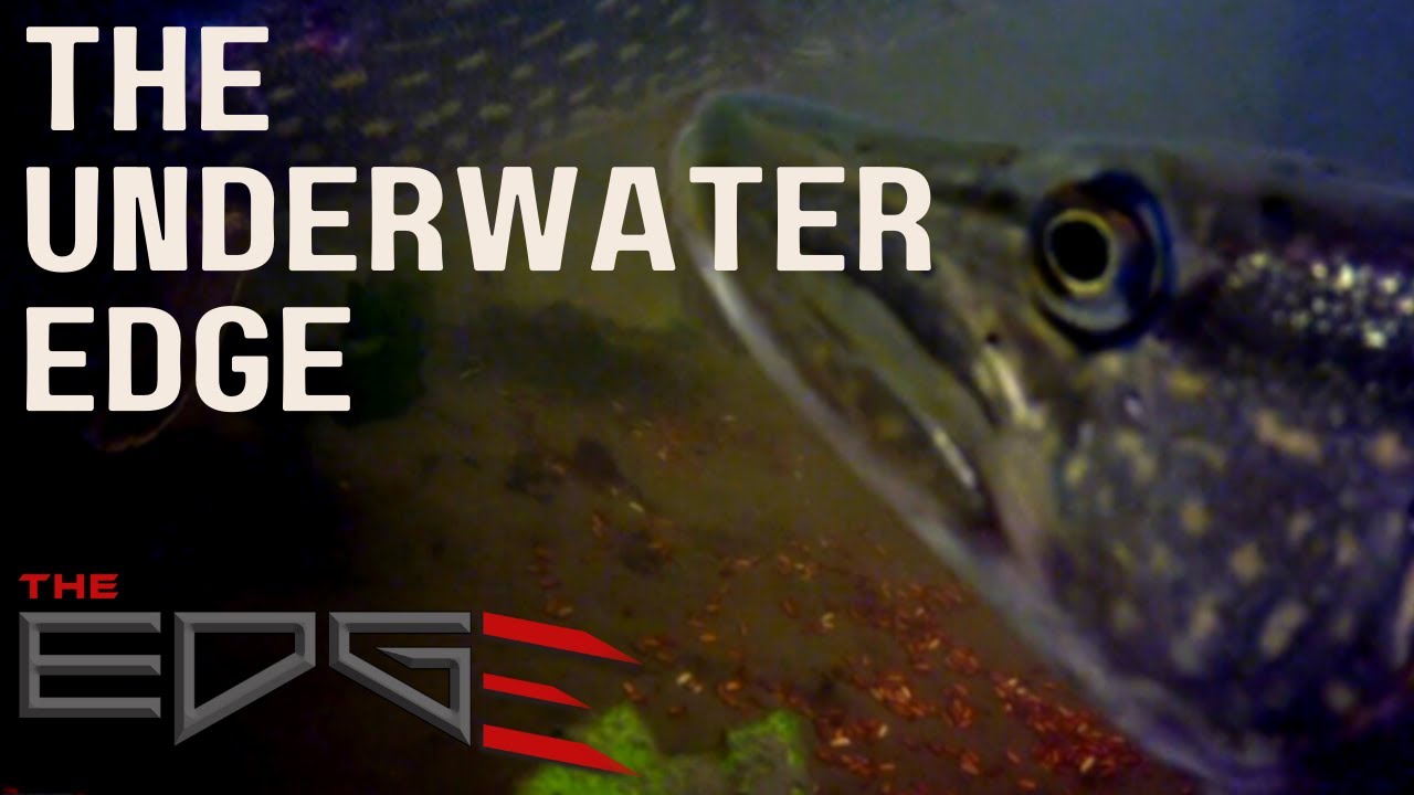 UNDERWATER FISHING - Pole fishing underwater - The EDGE - Rob Wootton ...