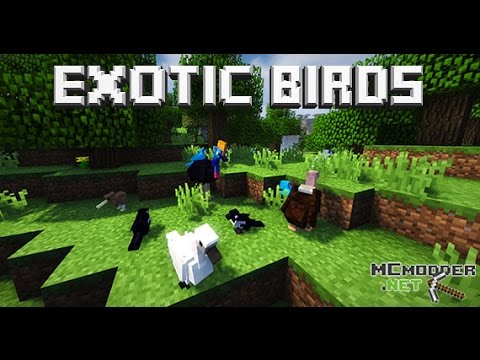 Descargar Mod (Exotic Birds 1.7.10) Minecraft - YouTube