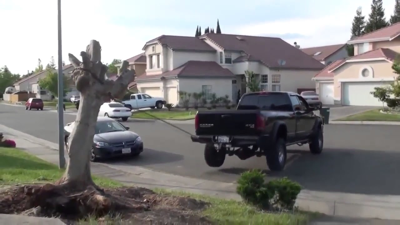 CARS AGAINST TREE TRUNKS WHO WILL WIN 4 - YouTube