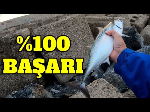 BÜYÜK BALIKLARI %100 YAKALA! | Top Arkası Silikon Takımı USTALIK GEREKTİRMEYEN TEKNİK KANITLI YÖNTEM