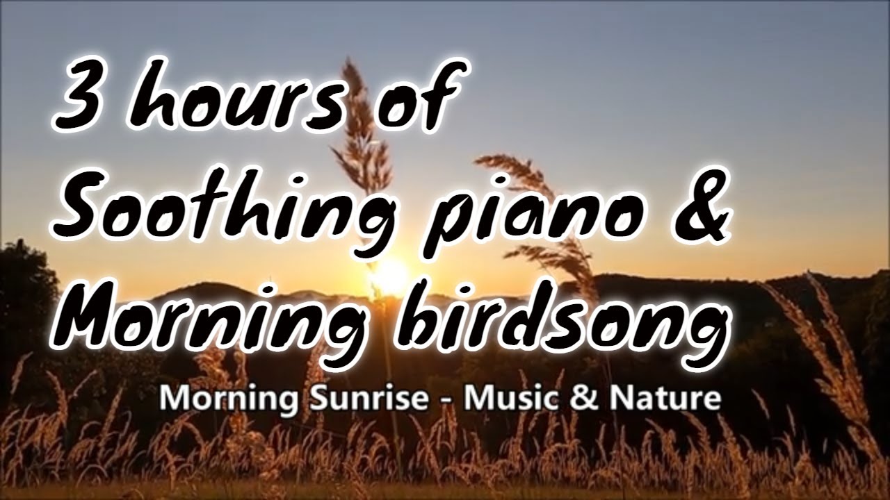 Soothing music with piano and morning bird sound for 3 hours, music for ...