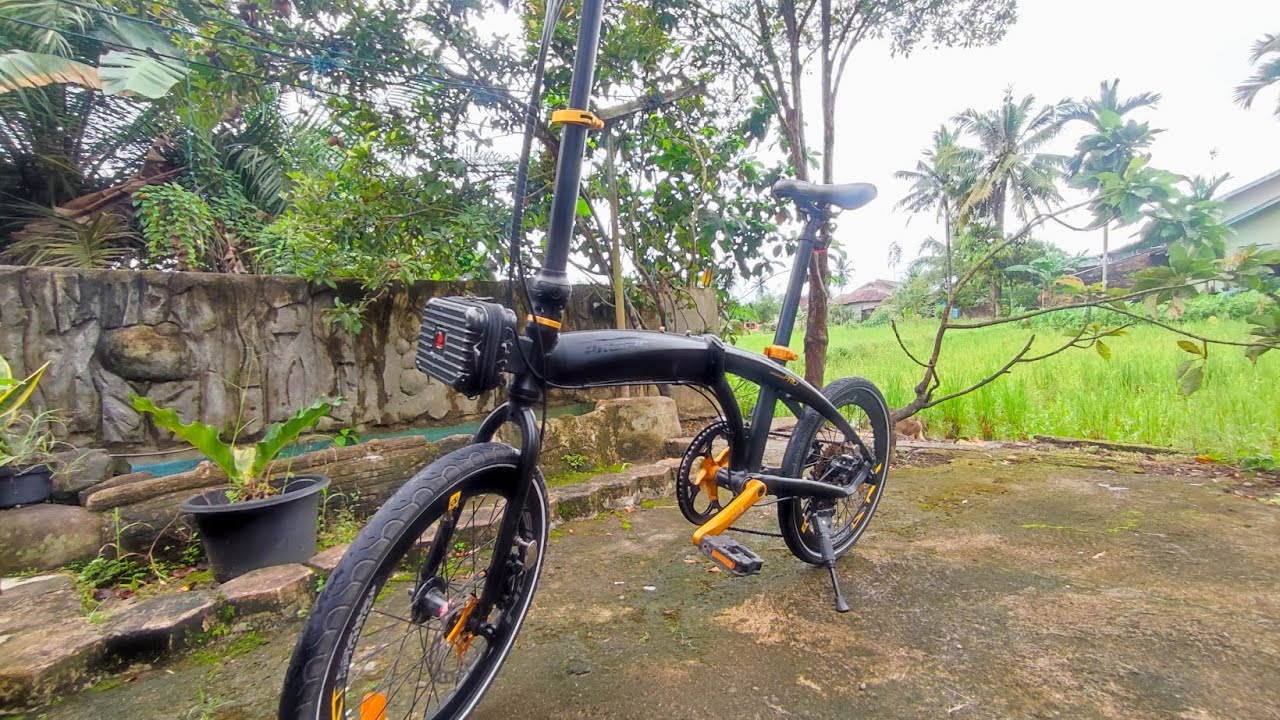 Pacific noris pro - YouTube