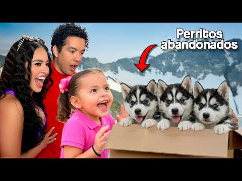 ¡RESCATAMOS A PERRITOS PÉRDIDOS! ¿Nos quedaremos con ellos?