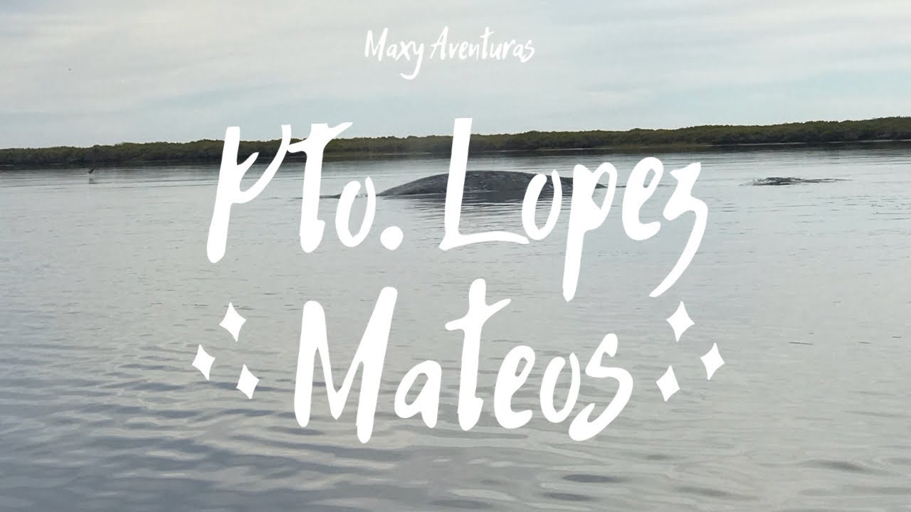 Pto. Lopez Mateos Santuario de La Ballena Gris en BCS - YouTube