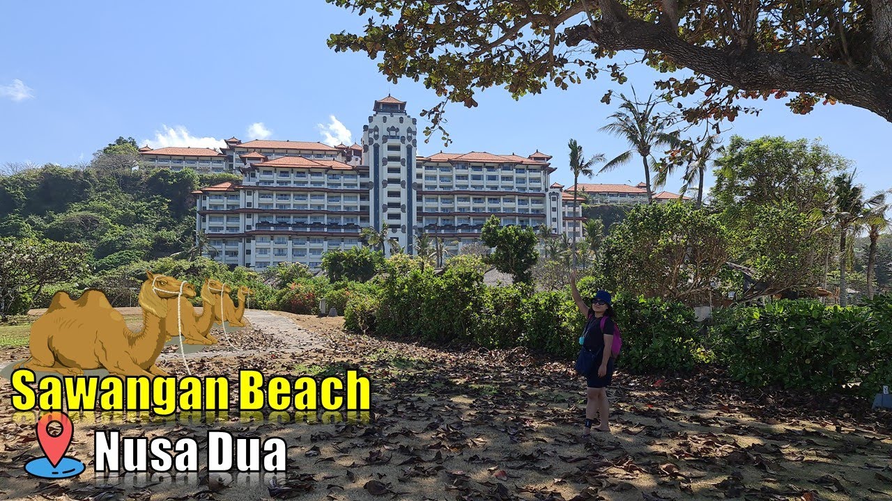 Sawangan Nusa Dua Beach Bali / Camel Safari - YouTube