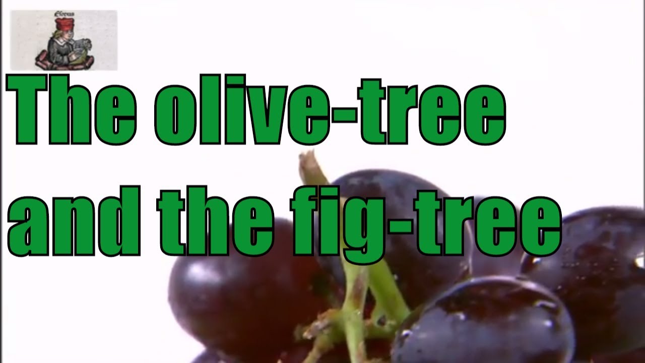 Aesop's Fables - new translation. The olive-tree and the fig-tree ...