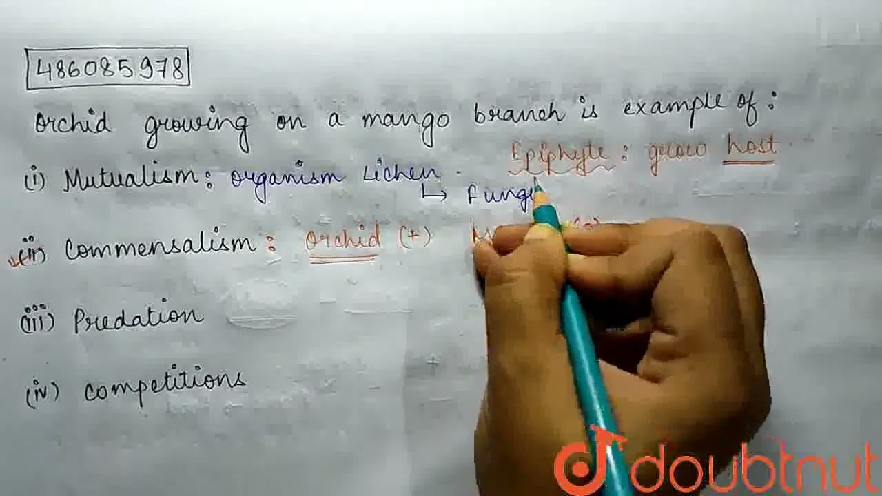Orchid growing on a mango branch is example of : | CLASS 12 | ORGANISMS ...