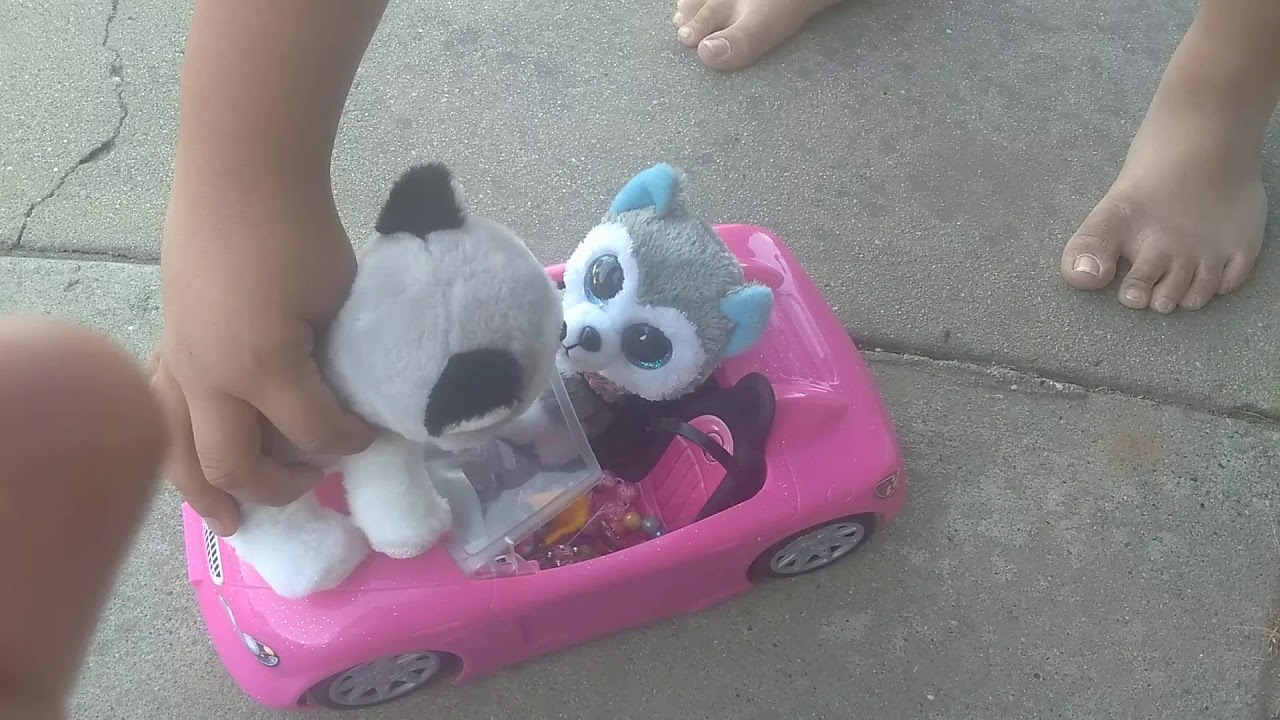 Pawcha life ep 3 - YouTube