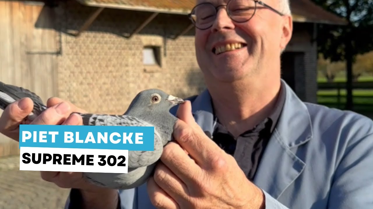 Meet Piet Blancke (BDS) his new foundation hen: Supreme 302 - YouTube