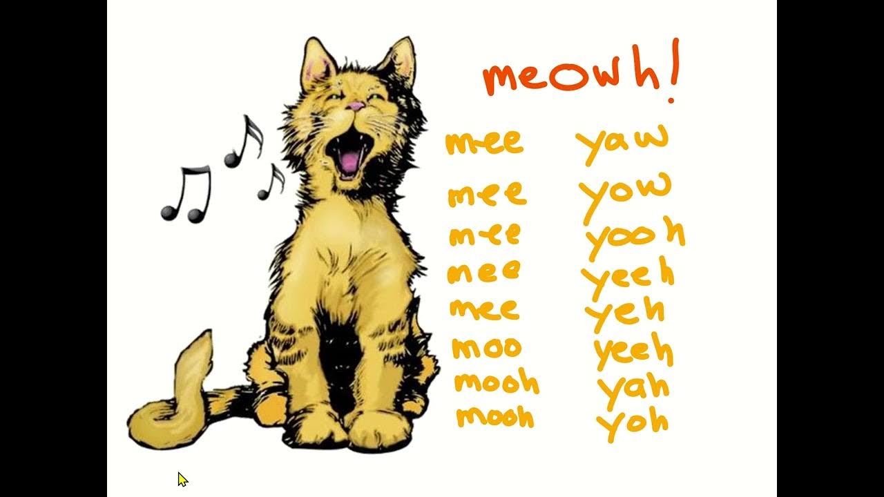 Meow Technique - YouTube