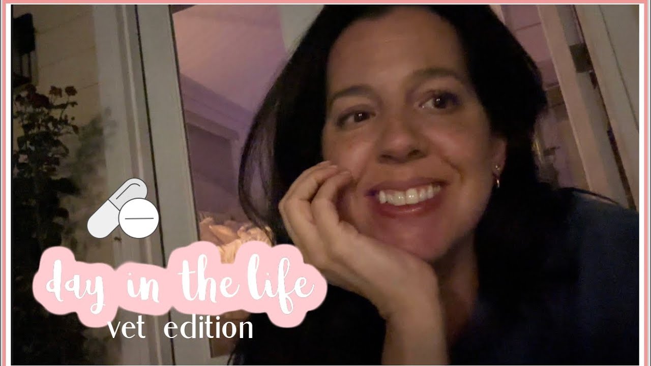 A Day in the Life | Vet Edition - YouTube