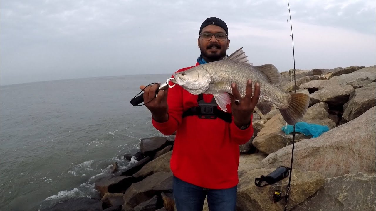 #kalanji #barramundi #kerala kalanji hunting kerala (barramundi ...