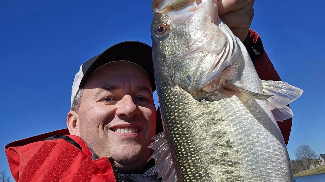 Putting a wild bass in my pond. - YouTube