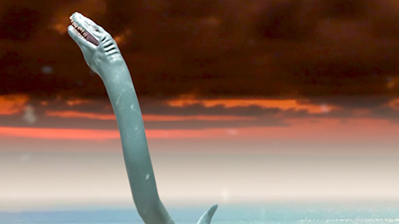 The Incredible True Story of the Sea Serpent that Shocked New York ...