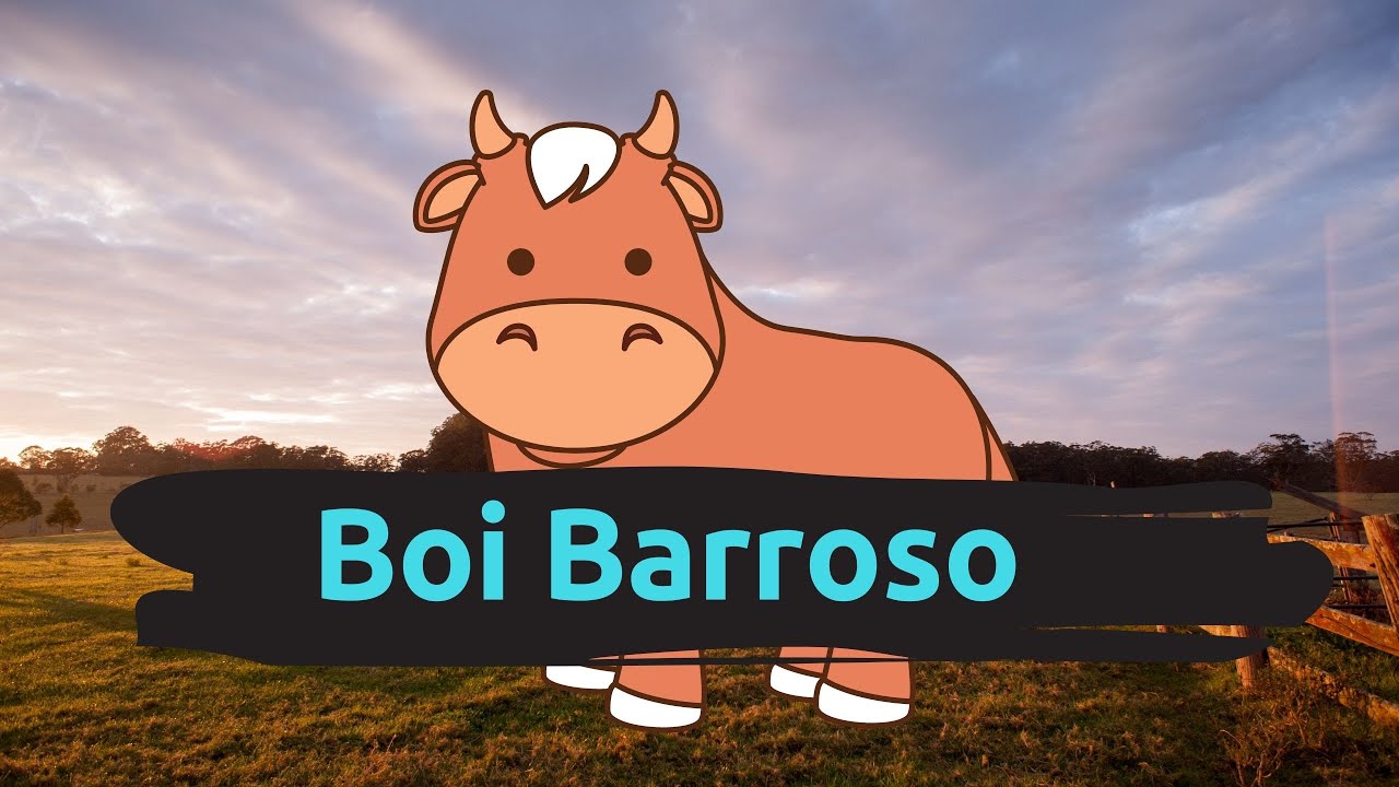 boi barroso - YouTube
