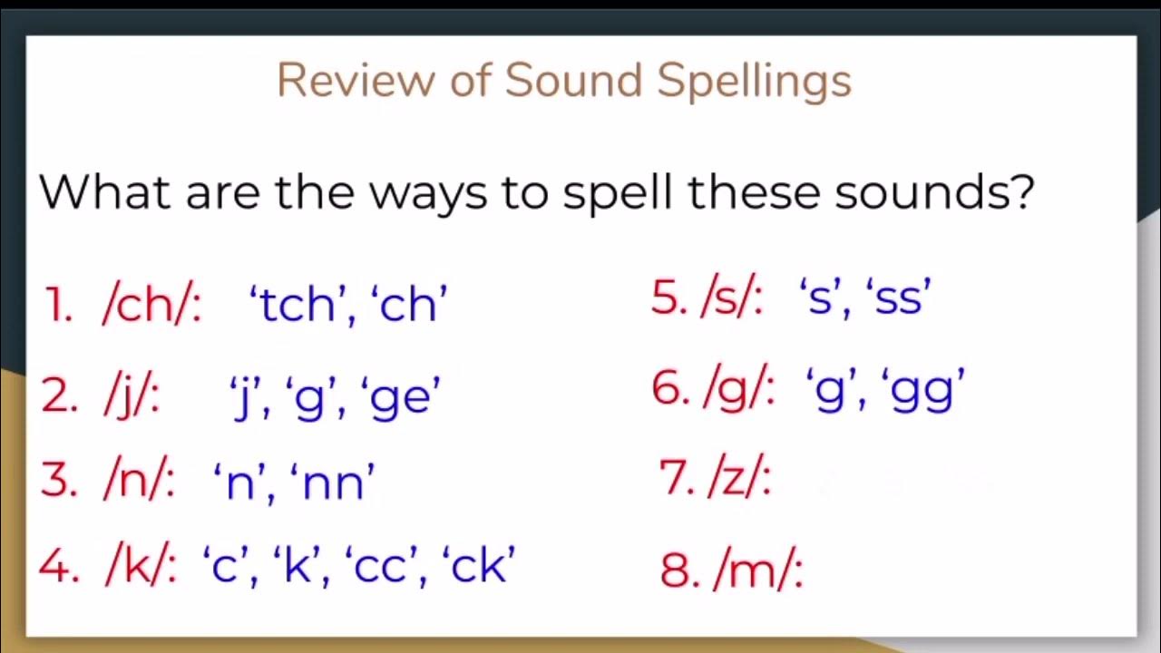 1st Grade CKLA Skills - Unit 5 Lesson 18 Writing: Edit an Opinion ...