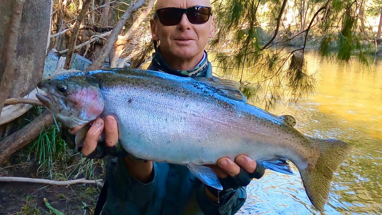 7 pound trout in the Blue Mountains - campfire cook up - YouTube
