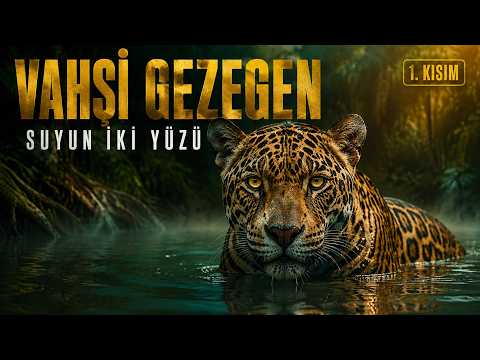 AMAZON ve ALASKA: Suyun İki Yüzü | Tam Doğa Belgeseli
