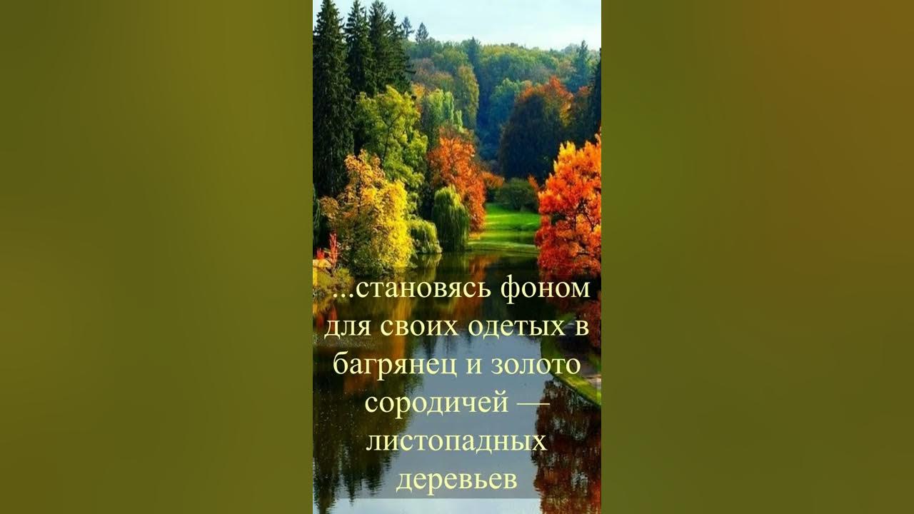 Прекрасное время года - YouTube