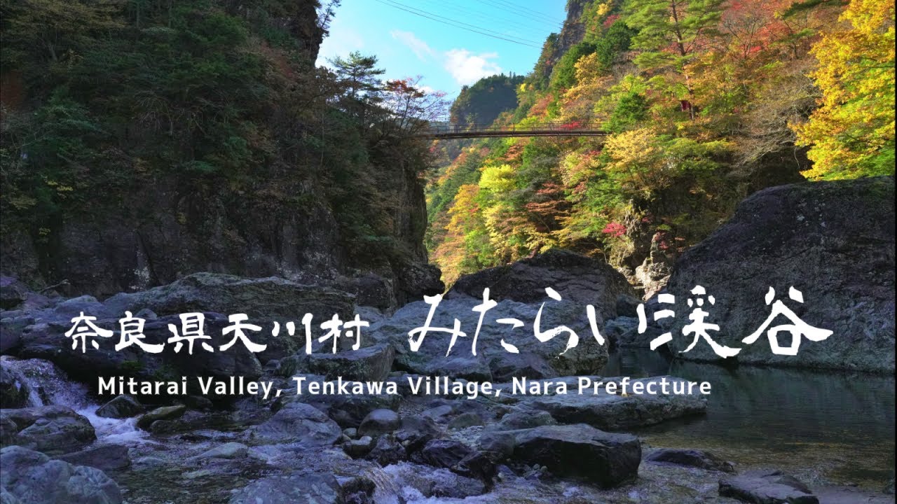 秋の『みたらい渓谷』散策 奈良県天川村Strolling through Mitarai Valley in autumn Tenkawa ...