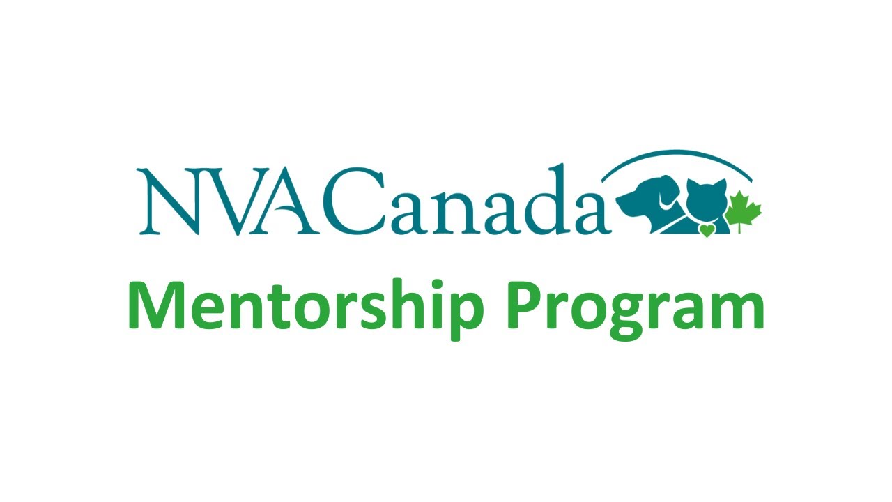 NVA Canada Mentorship Program - YouTube