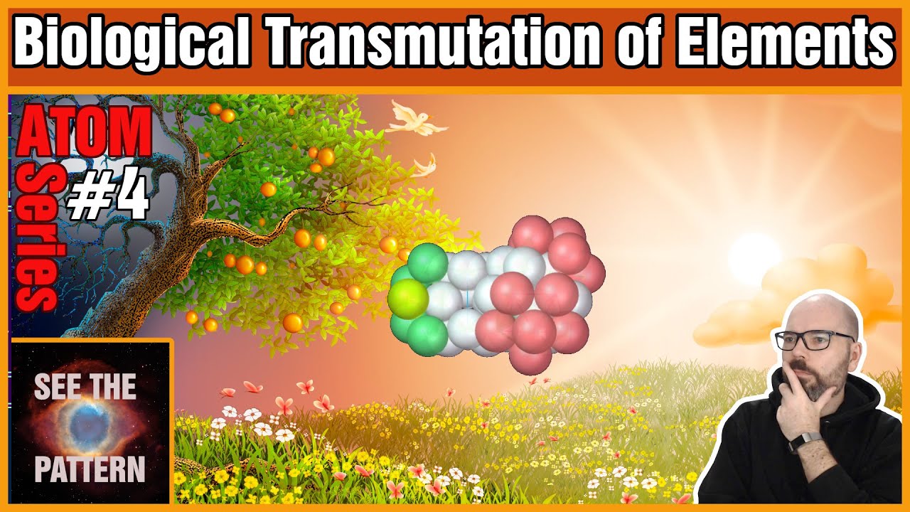 Biological Transmutation of Elements - YouTube