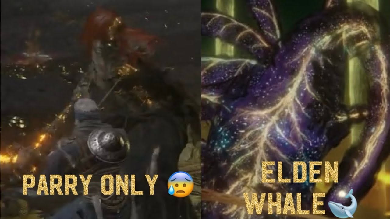 ELDEN RING™ Radagon [Parry only] and Elden Beast Reaction - YouTube