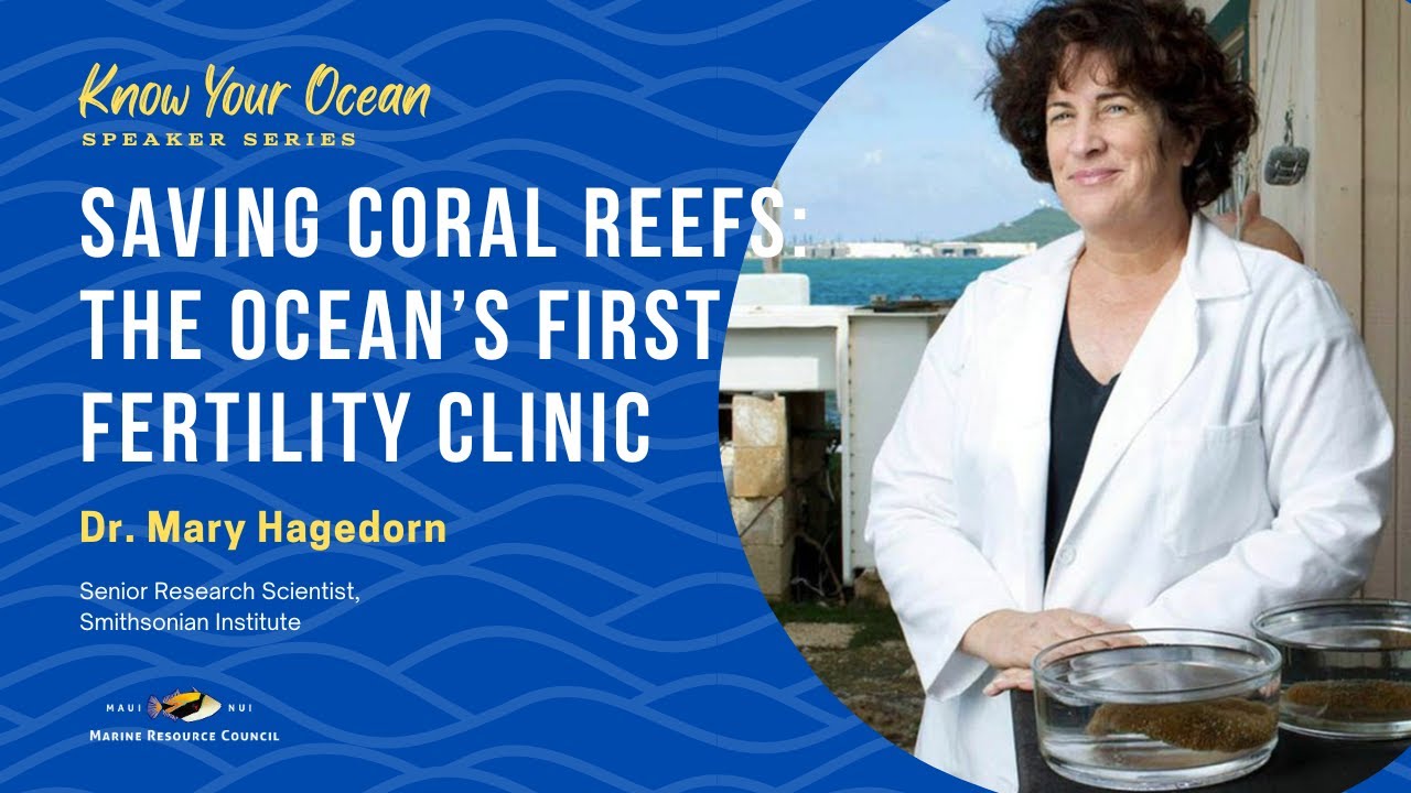 Know You Ocean Speaker Series-Saving Coral Reefs: The Ocean's First ...