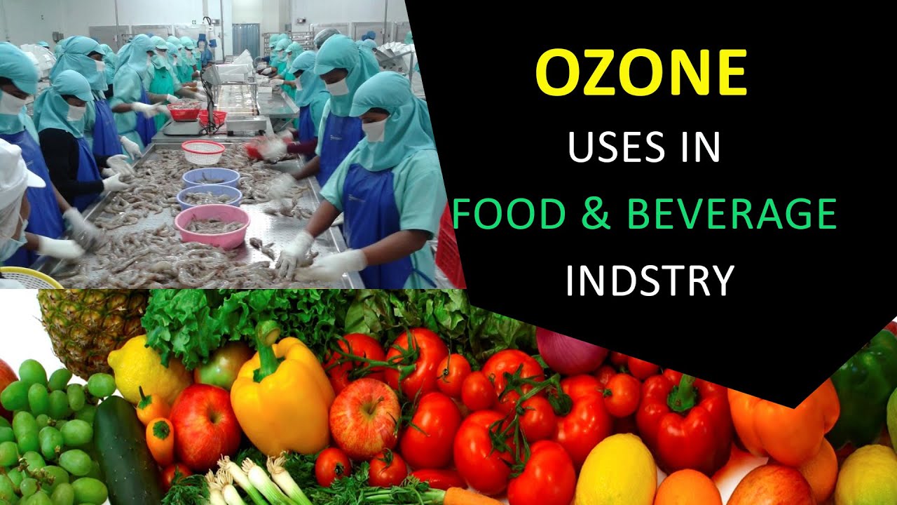 Ozone uses in food, beverage processing and packing | Ozonator | Ozone ...
