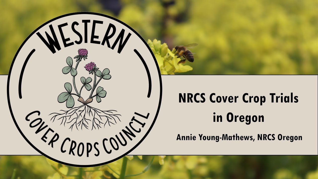 NRCS Cover Crop Trials - Oregon - YouTube