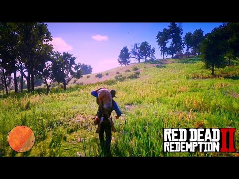 Fox Hunting In Red Dead Redemption2 | RDR2 Gameplay [4K] #rdr2 # ...