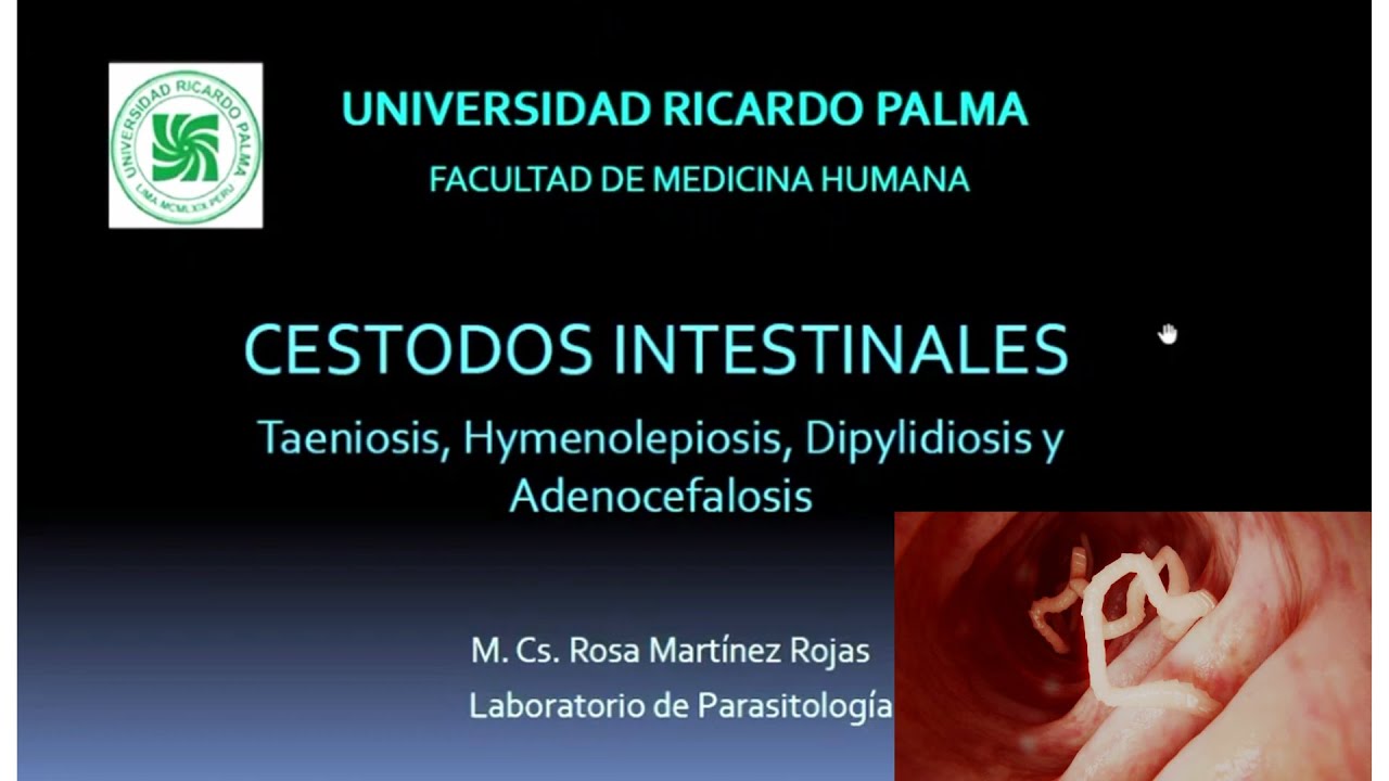 Parasitología - Cestodos intestinales - sem 4 URP - YouTube