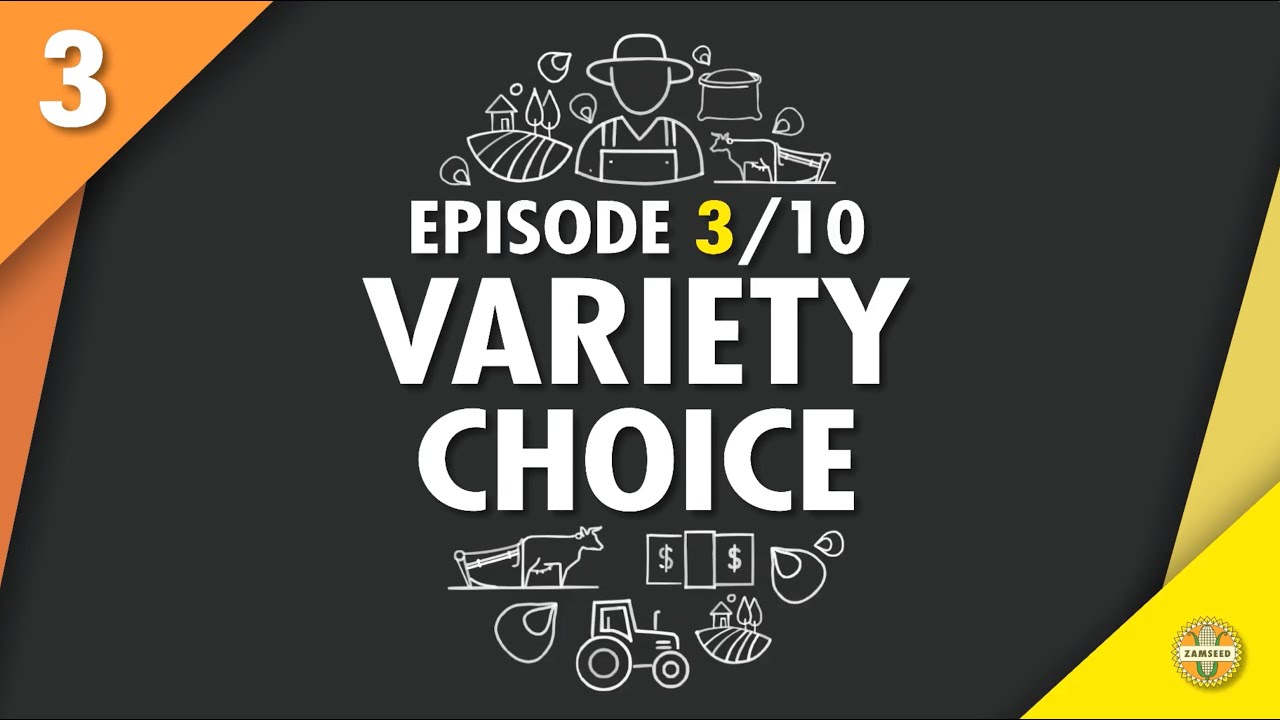 Episode 3 - Variety Choice - YouTube