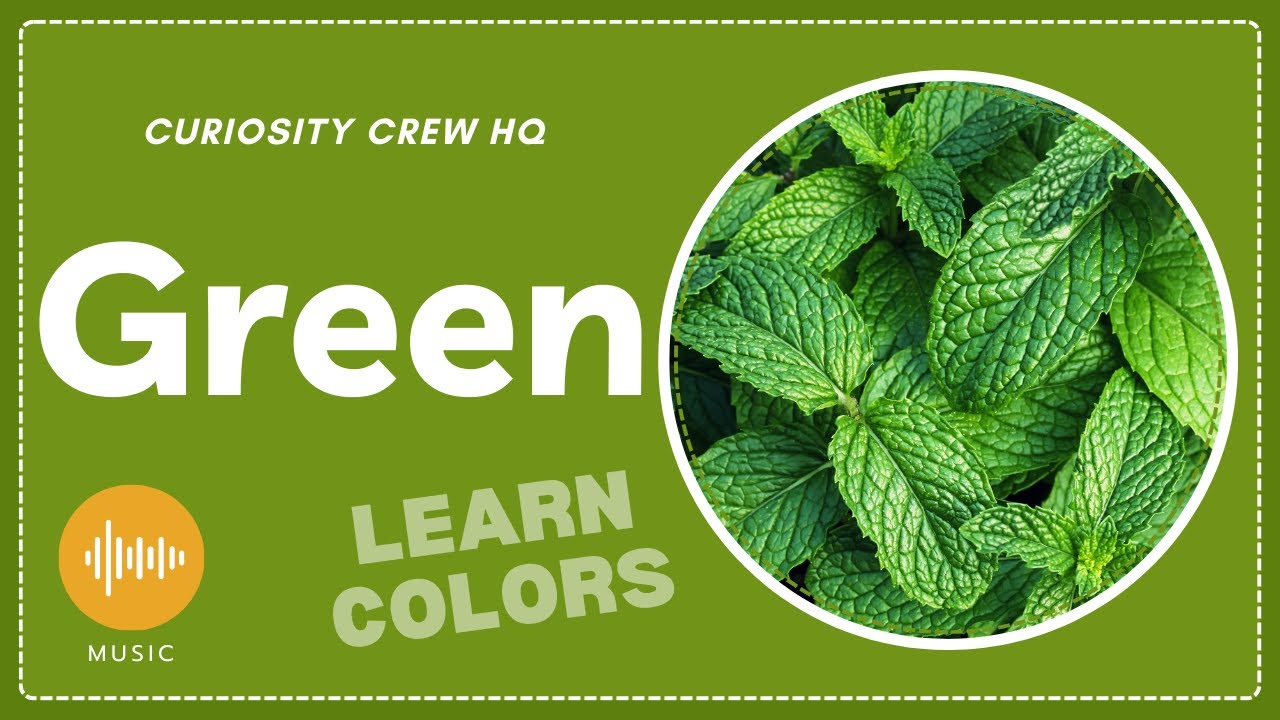 Green Song for Kids | Learn Colors | Vocabulary Song | Curiosity Crew ...