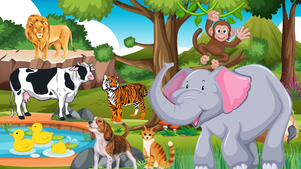 Animal Sounds Around Us: dog, cat, tiger, lion, elephant, duck, monkey ...