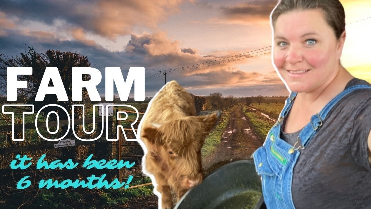 It Has Been 6 Months Since We Last Spoke! Finally a FARM TOUR Of ...