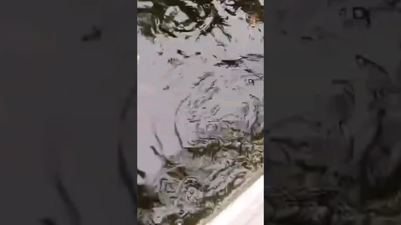 bH gi itu sederhana cukup bisa bersama keluarga #trending #beranda # ...